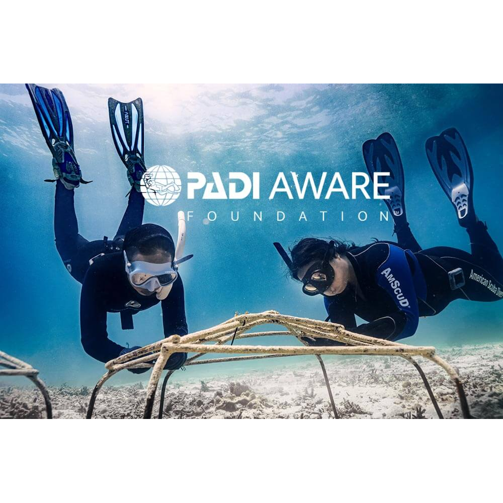 PADI Aware Dive Against Debris Diver